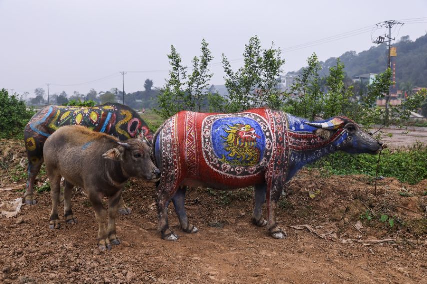 Tưng bừng khai hội Tịch điền Đọi Sơn 2024, báo hiệu vụ mùa bội thu