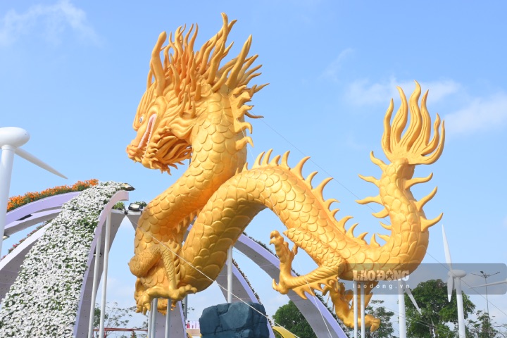 Gia tăng tỉ lệ người dân đến khám bệnh với mong muốn "săn rồng vàng"