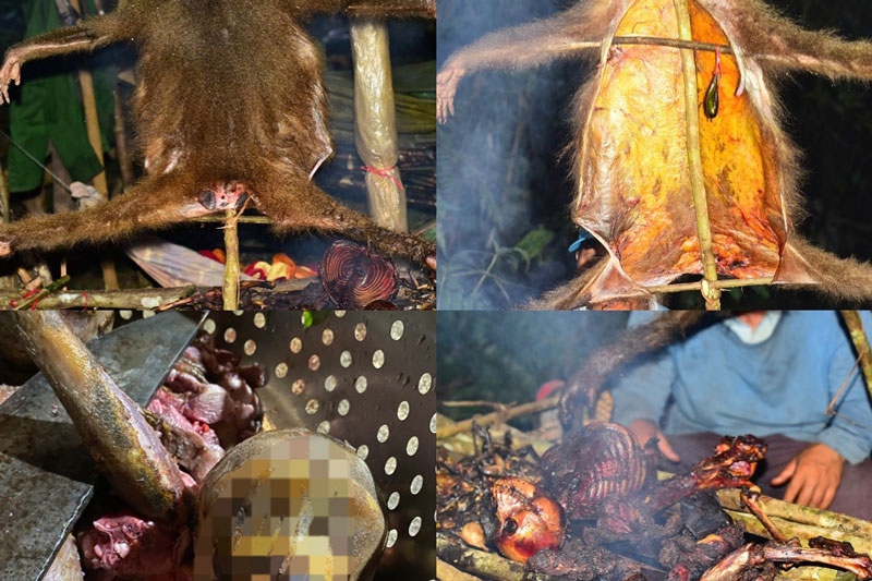 Bảo vệ động vật hoang dã, cần xử nghiêm cả người ăn thịt thú rừng