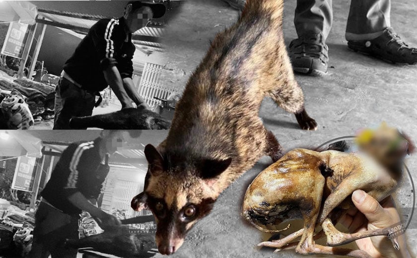 Máu thú rừng vẫn chảy - Trang trại trá hình và những “lộ trình” của thú ...