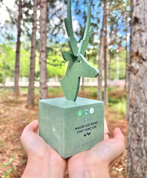 Để máu thú rừng thôi chảy