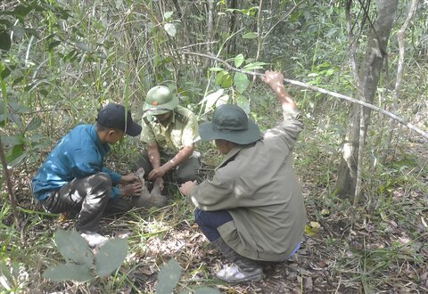 Khó ngăn chặn hành vi săn bắt thú rừng ở Tây Nguyên