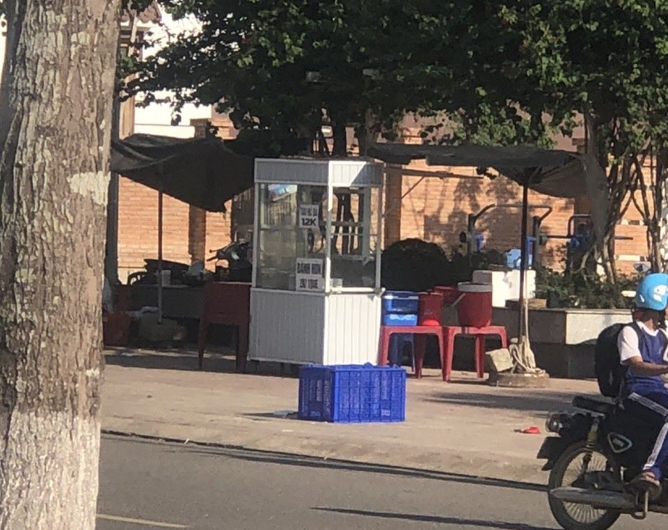 74 học sinh ở Khánh Hòa ngộ độc do rong biển nhiễm khuẩn