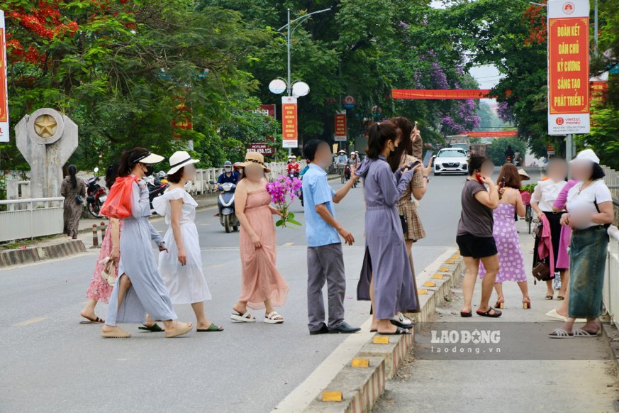 Dòng người đứng giữa lòng cầu tạo dáng chụp với hoa bằng lăng