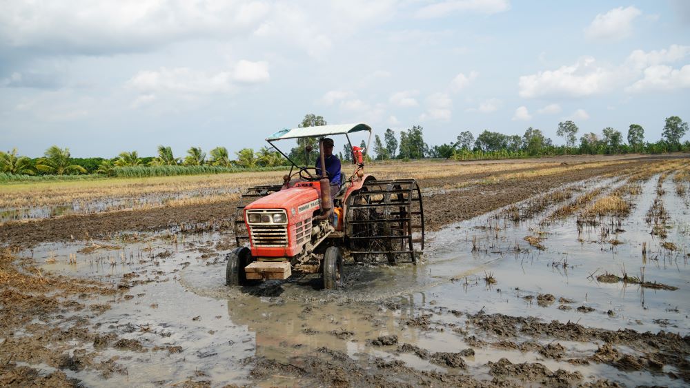 Mục sở thị quy trình gieo mạ cấy loại lúa cho gạo ngon nhất thế giới