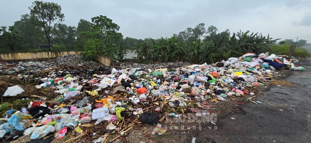 Hàng trăm hộ dân ở Thái Bình khốn khổ vì khói khét từ bãi rác lộ thiên
