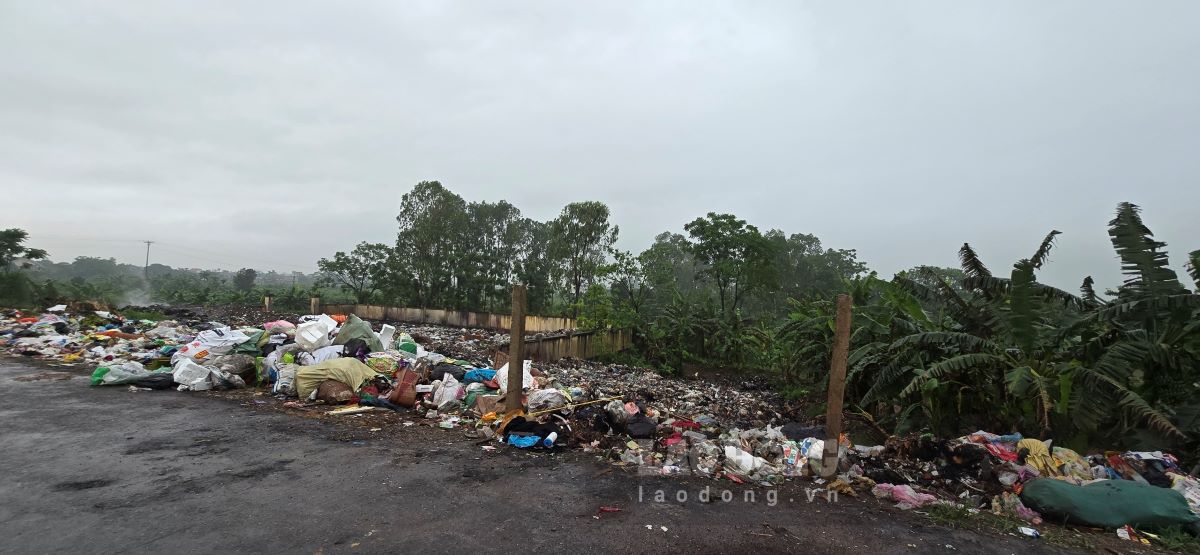 Hàng trăm hộ dân ở Thái Bình khốn khổ vì khói khét từ bãi rác lộ thiên