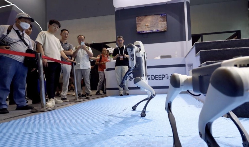 Du khách tròn mắt xem robot khoe tài tại Hội nghị AI Thế giới