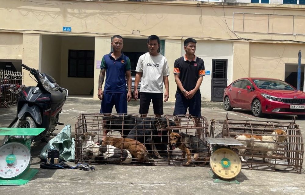 Thanh Hóa bắt ổ nhóm chuyên trộm chó
