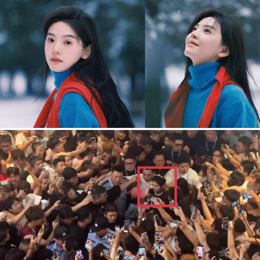 Số lượng fan nam của Chương Nhược Nam gây sốc