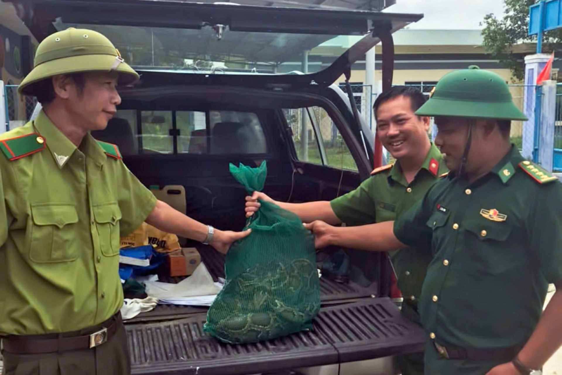 Receiving rare reticulated python from local people