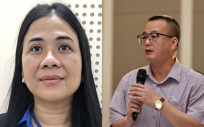 Khám Phá Văn Hóa Tre Vùng đất Phương Nam