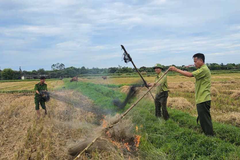 Chỉ đạo quyết liệt bảo vệ chim di cư