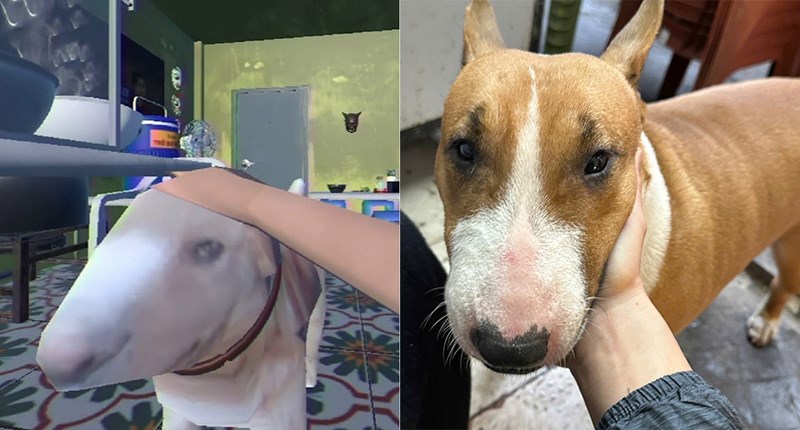 Quán nướng trong ngõ đông khách rần rần vì chú chó giống game Phở anh Hai