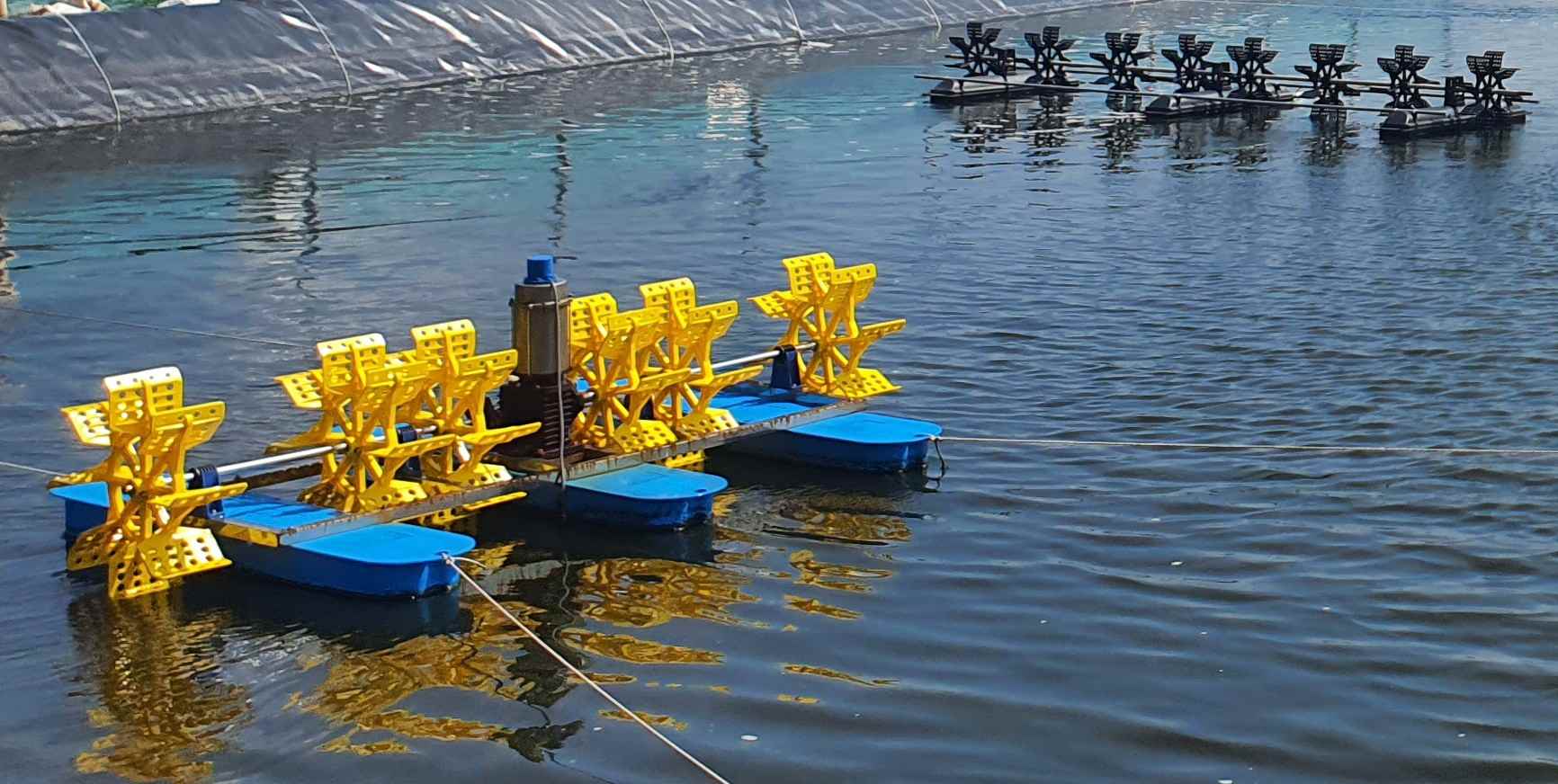 Đi làm ngoài vuông tôm lúc trời mưa, hai người tại Cà Mau bị sét đánh ...