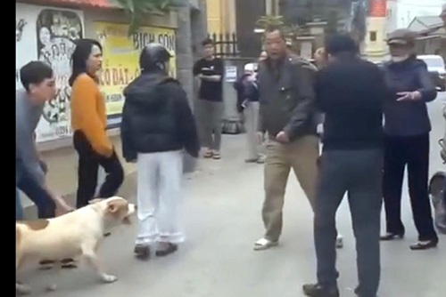 Công an xác minh vụ một người xua chó cắn hàng xóm phải nhập viện