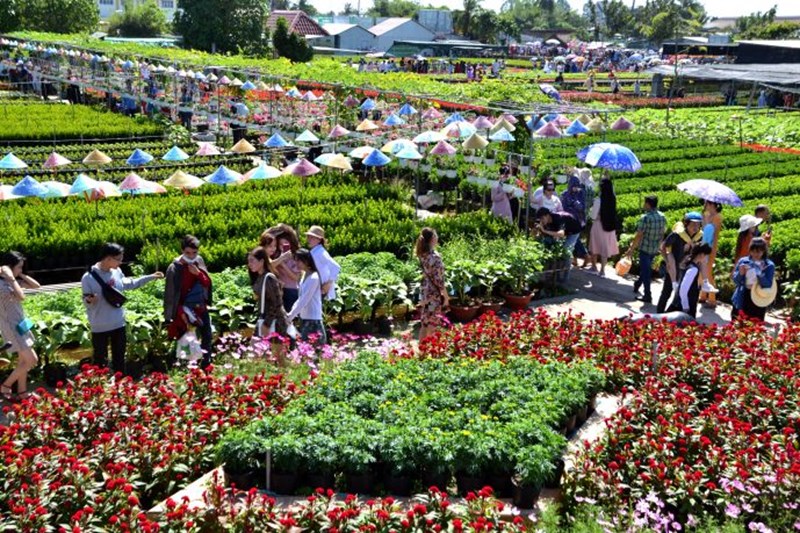 Sa Dec ornamental flower growing profession becomes a national ...