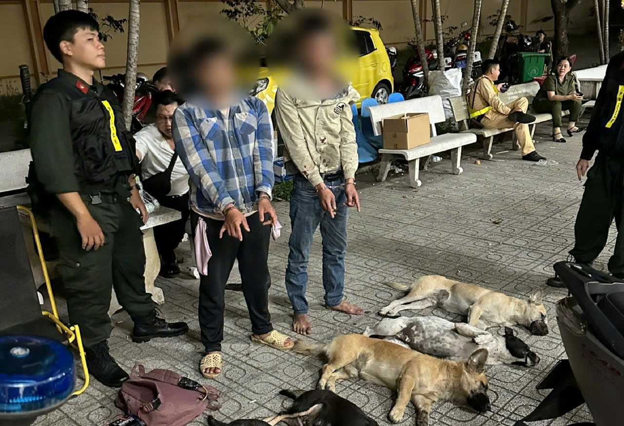 Đang chờ chấp hành án tù về tội trộm chó lại tiếp tục trộm chó