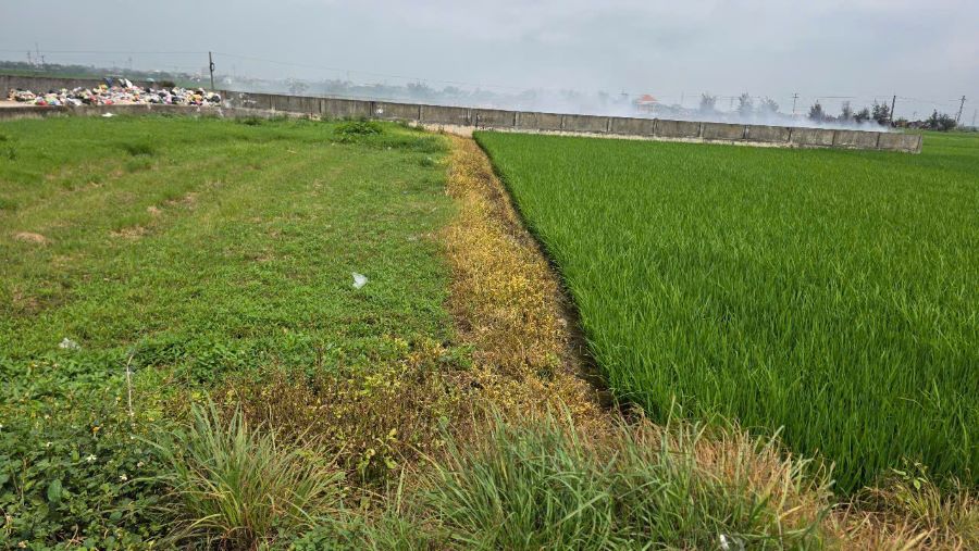 Bãi rác cạnh quốc lộ ở Thái Bình thường xuyên bị đốt trộm gây khói khét