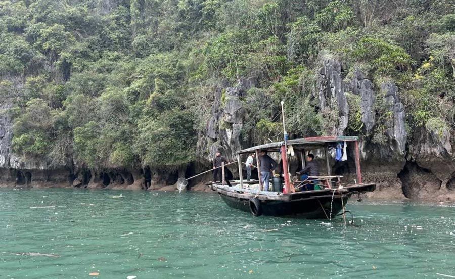 Reasons why ships do not run the route connecting Ha Long Bay - Lan Ha Bay