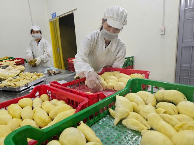 The yellowing ingredient for durian is turmeric