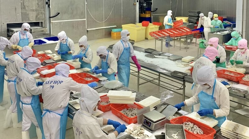 Ca Mau after the merger will be the capital of shrimp, salt, and ...