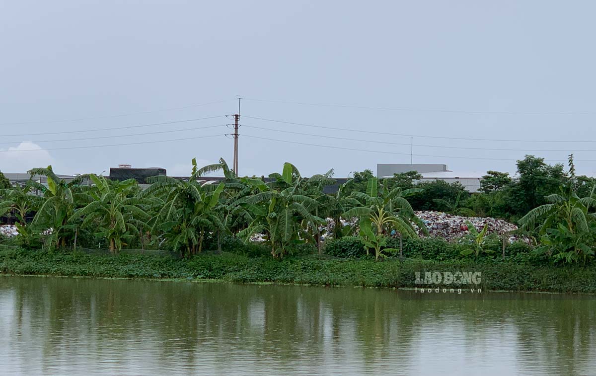 Ô nhiễm từ bãi rác trung chuyển lộ thiên sát đường cao tốc cầu Giẽ ...