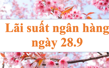 Interest rate 28.9: Ranking of top highest savings interest rates today