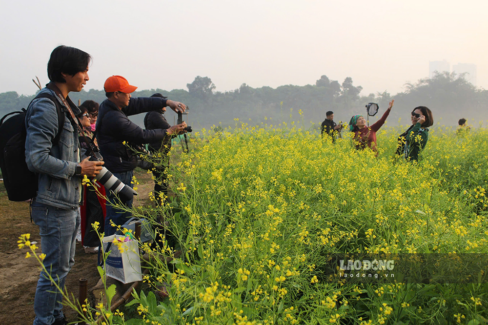 Bến hoa bên cầu Long Biên như hiện ra từ cổ tích ở Hà Nội