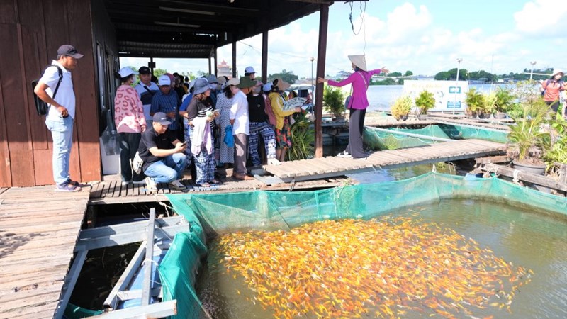 Nghỉ Tết dài ngày, khách du lịch tìm về sông nước Cần Thơ trốn khói bụi