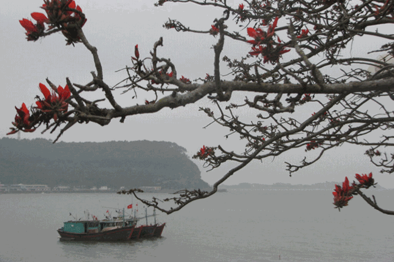 Bến sông hoa gạo