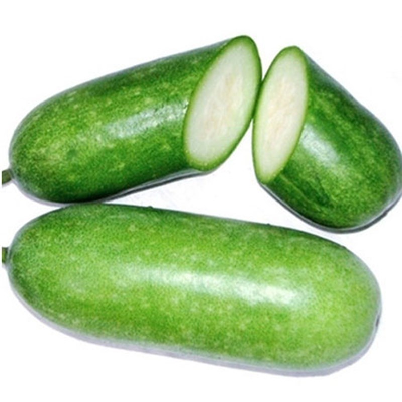 Bí đao giúp hỗ trợ điều trị nhiều bệnh